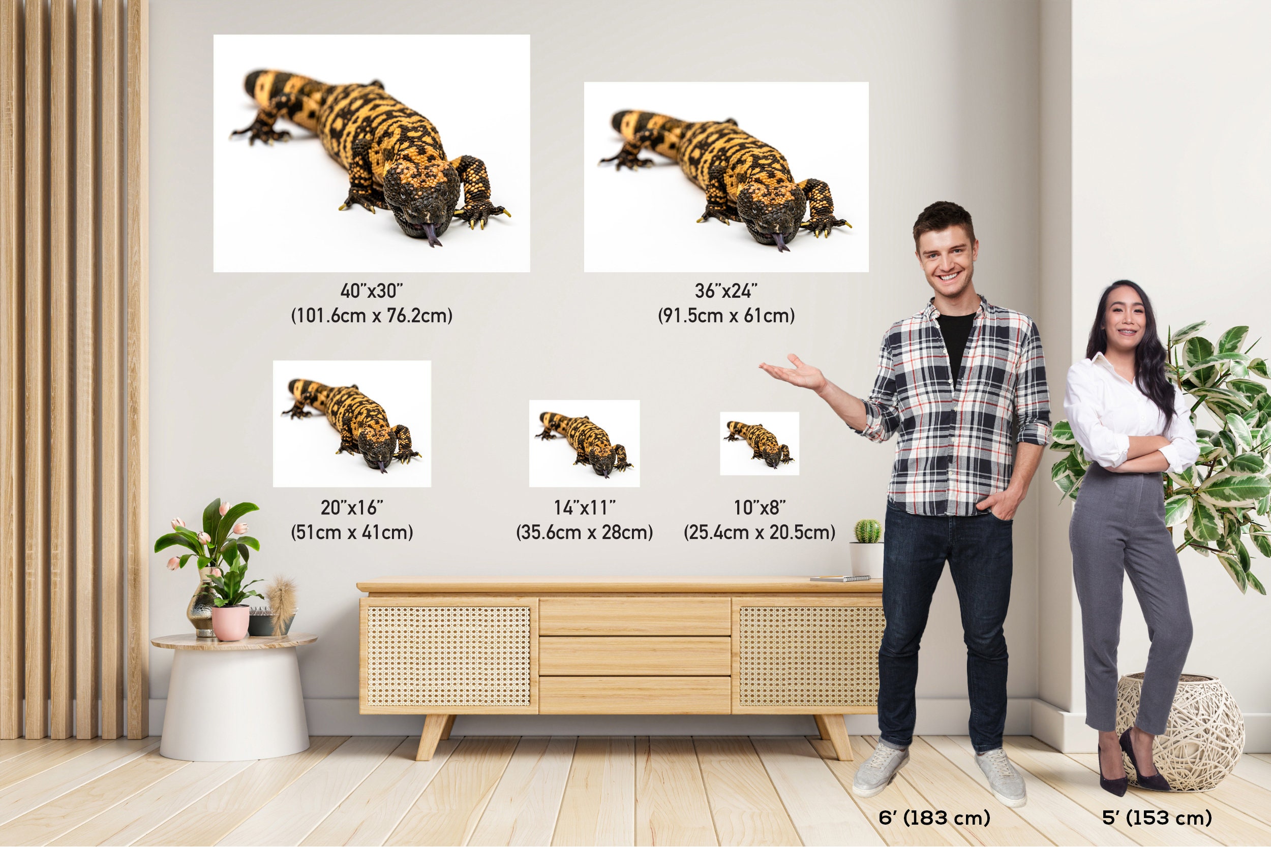 Reptilian Royalty: Gila Monster Wall Art Print Exotic Wildlife Animal ...