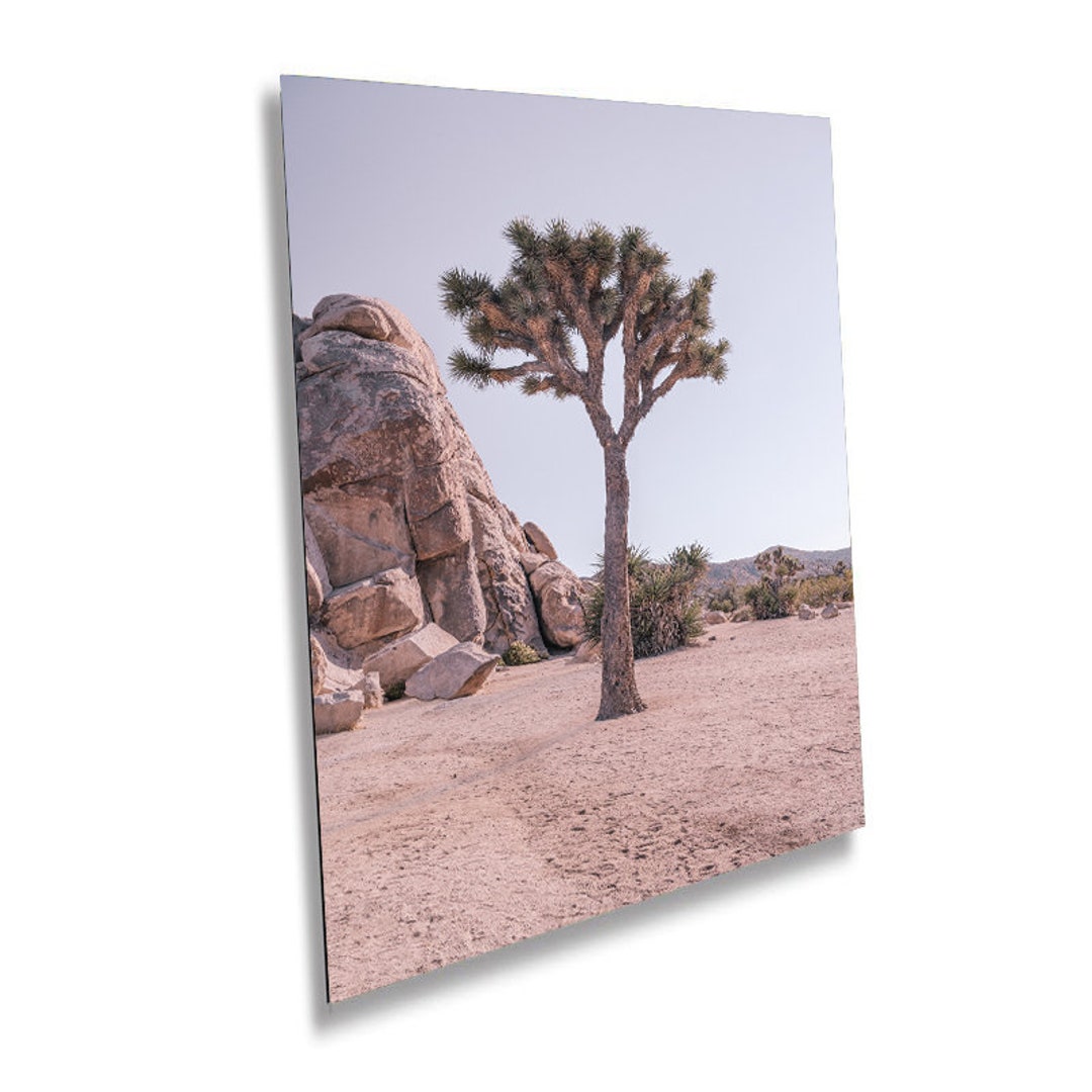 Joshua Tree National Park Aluminum Metal Print: California Desert ...
