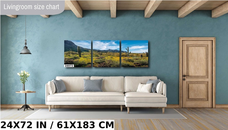 Picacho Peak Super Bloom: Arizona Desert Saguaro Cacti & Wildflowers - Etsy