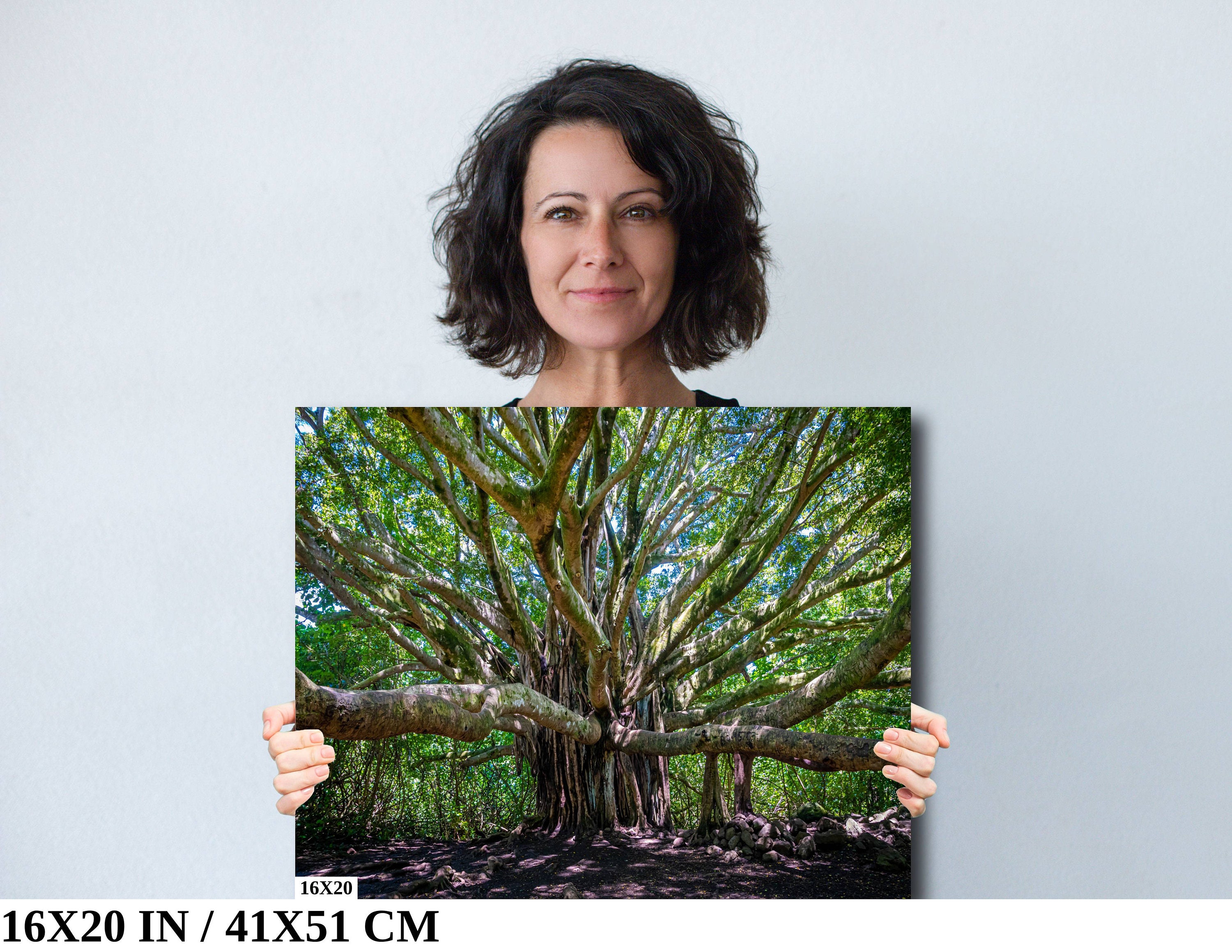 Maui Banyan Tree Print: Haleakala National Park, Hawaii - Etsy