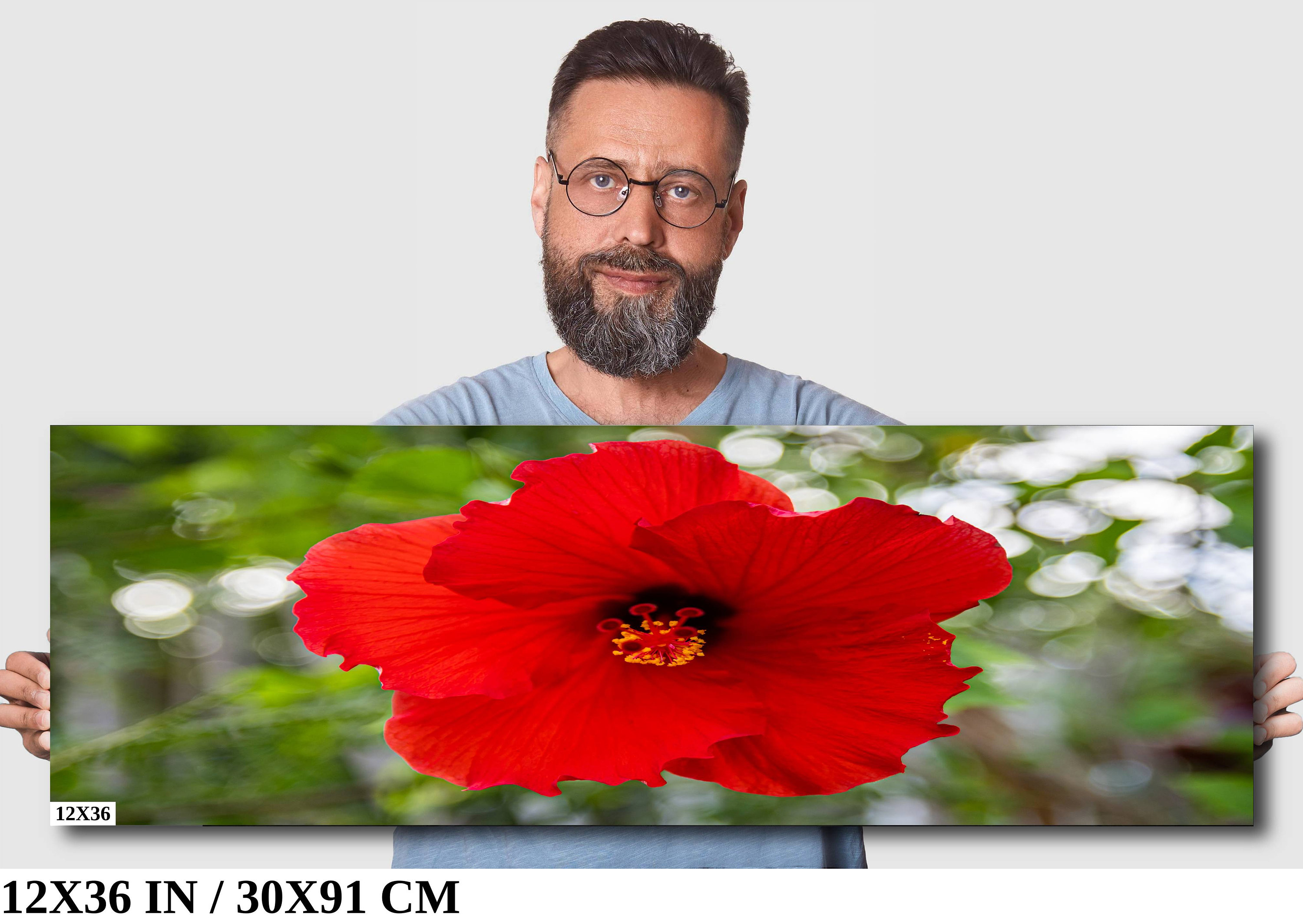 Ruby Blooms: Red Hawaiian Hibiscus Flower Photography Tropical Home ...