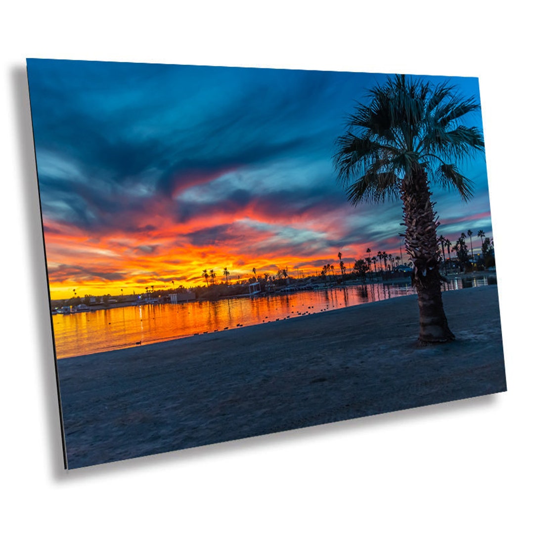 Tranquil Waterfront: Palm Trees at the Lake Havasu Rotary Beach Wall ...