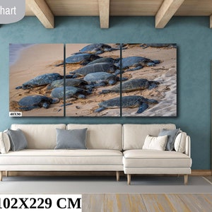 Bale of Turtles: Maui Hawaii Sea Turtles Photography Ocean Wildlife ...