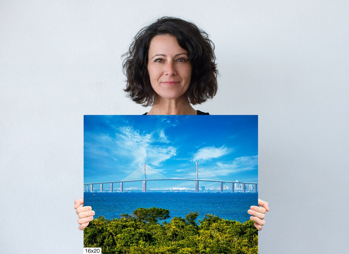 Bridging Horizons: Sunshine Skyway Bridge Florida Architecture ...