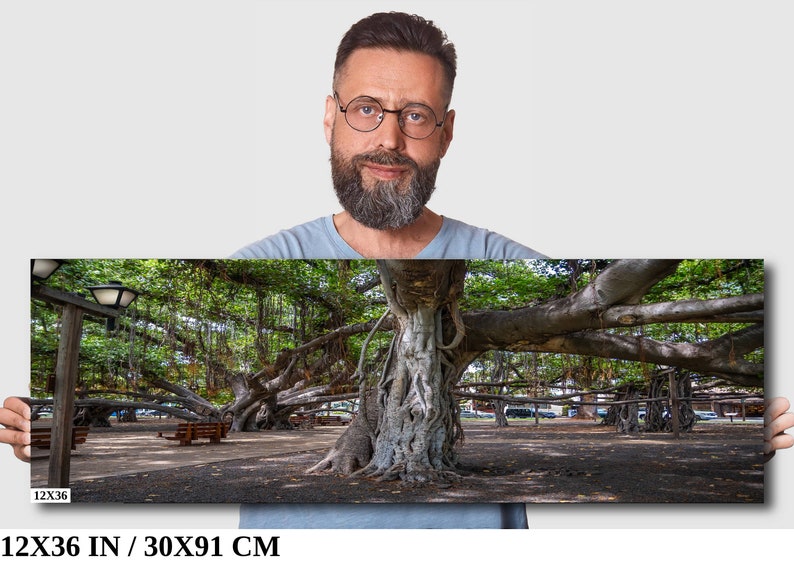 Lahaina Banyan Tree Print: Maui Hawaii Nature Photography Wall Art - Etsy