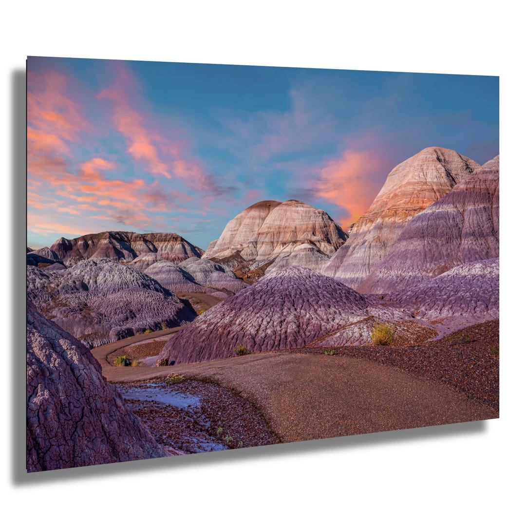 Nature's Ancient Relics: Petrified Forest National Park Arizona Wall ...