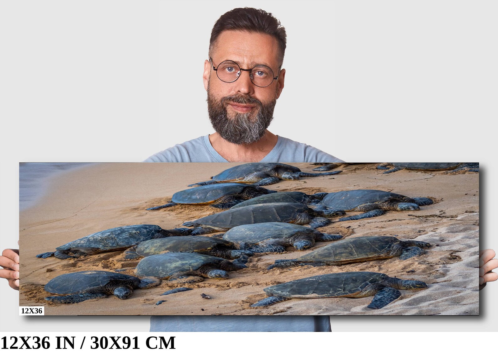 Bale of Turtles: Maui Hawaii Sea Turtles Photography Ocean Wildlife ...