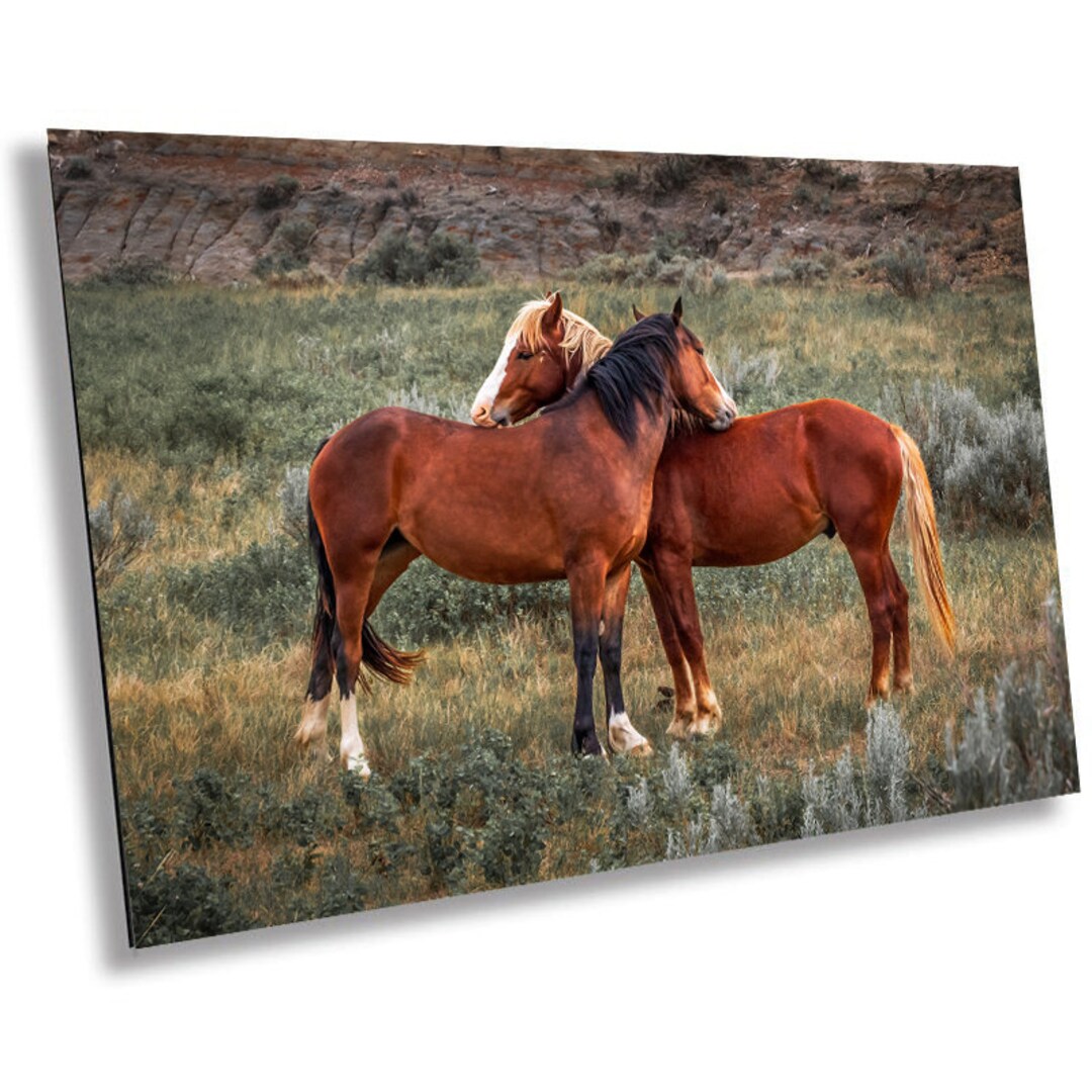 Mare and Stallion Canvas Print: Theodore Roosevelt Park Horse ...