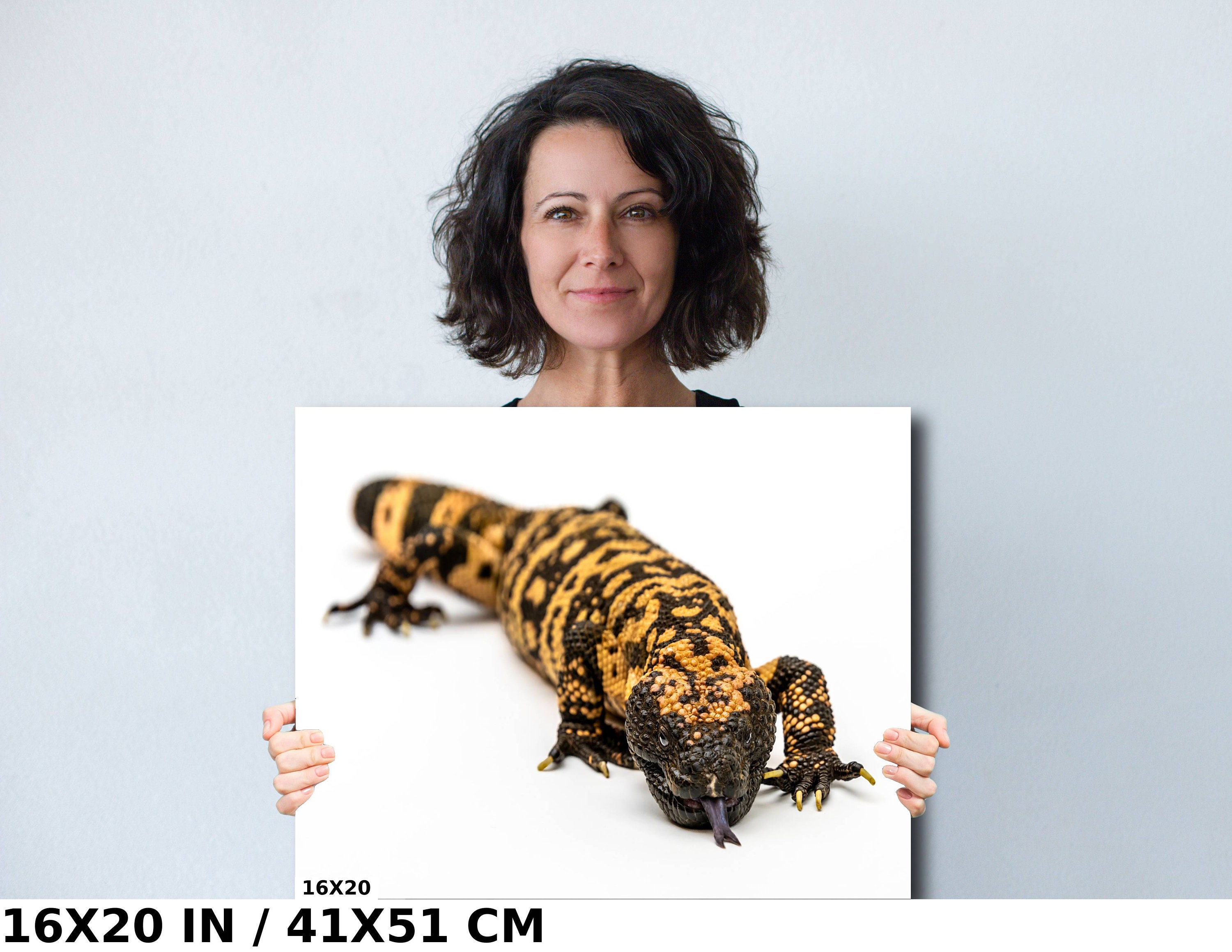 Reptilian Royalty: Gila Monster Wall Art Exotic Animal Metal Acrylic ...