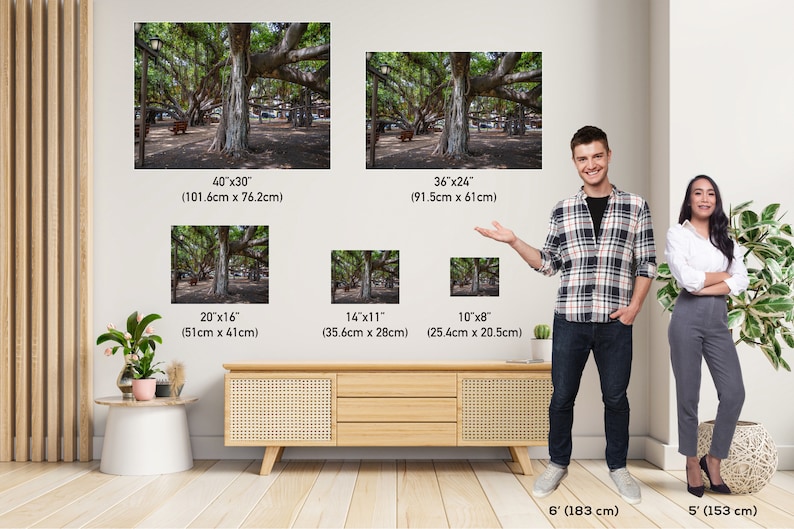 Lahaina Banyan Tree Print: Maui Hawaii Nature Photography Wall Art - Etsy