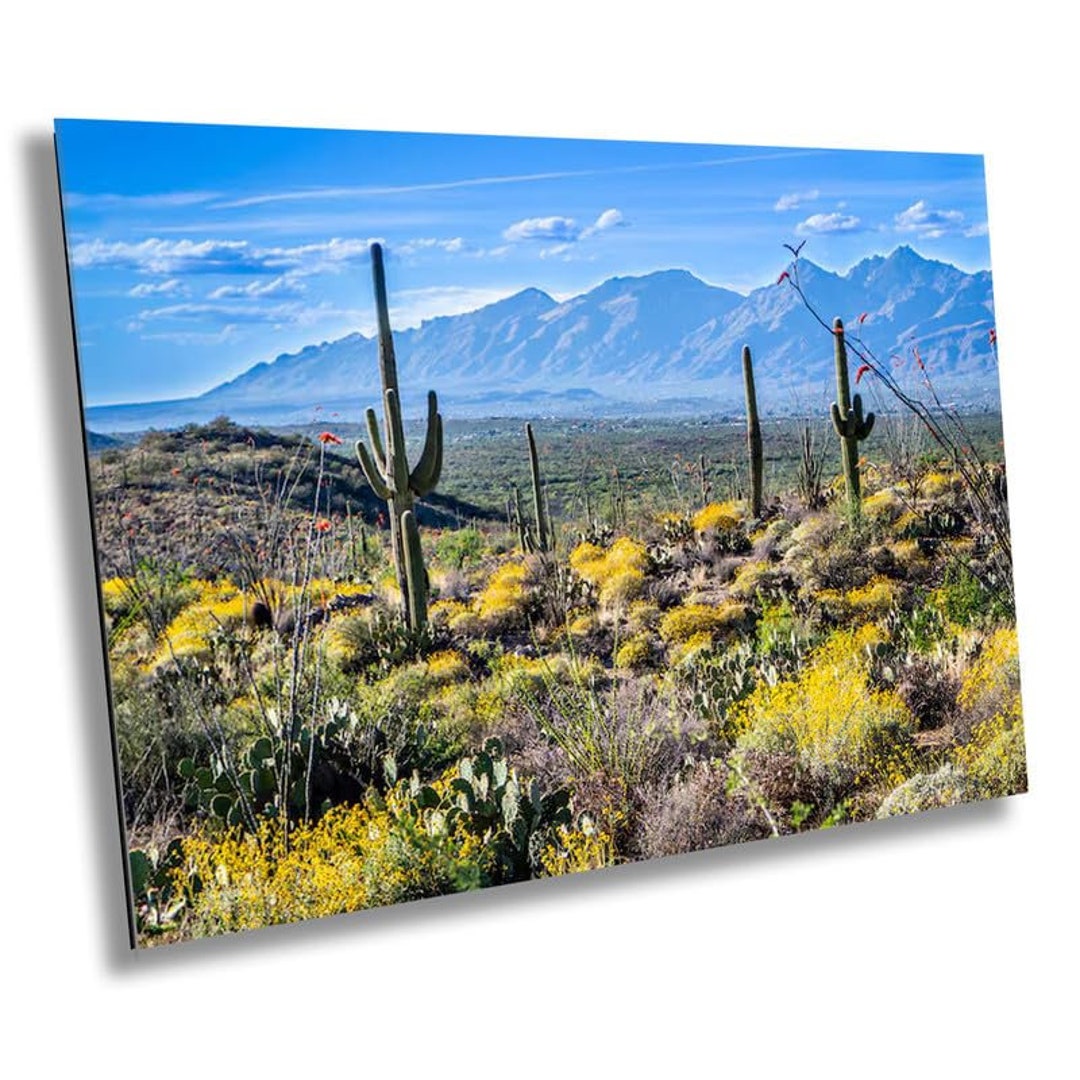 Nature's Contrast: Yellow Desert Cactus Saguaro National Park Wall Art ...