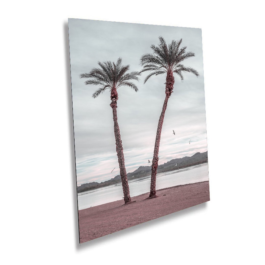 Desert Paradise: Palm Trees in Lake Havasu Wall Art Photography Metal ...