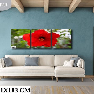 Ruby Blooms: Red Hawaiian Hibiscus Flower Photography Tropical Home ...