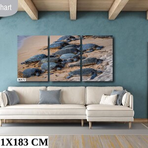 Bale of Turtles: Maui Hawaii Sea Turtles Photography Ocean Wildlife ...