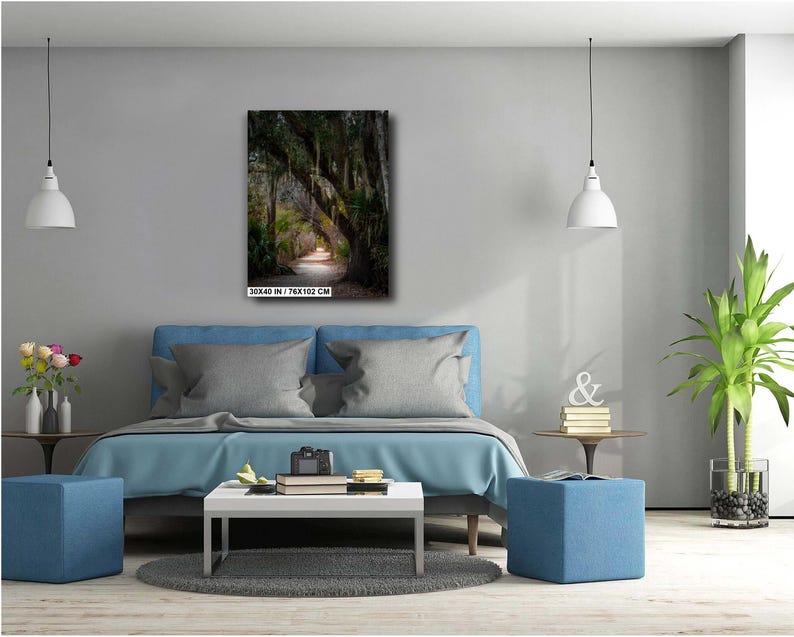 Live Oak Tree: Sea Pines Forest, Hilton Head Nature Photography Wall ...