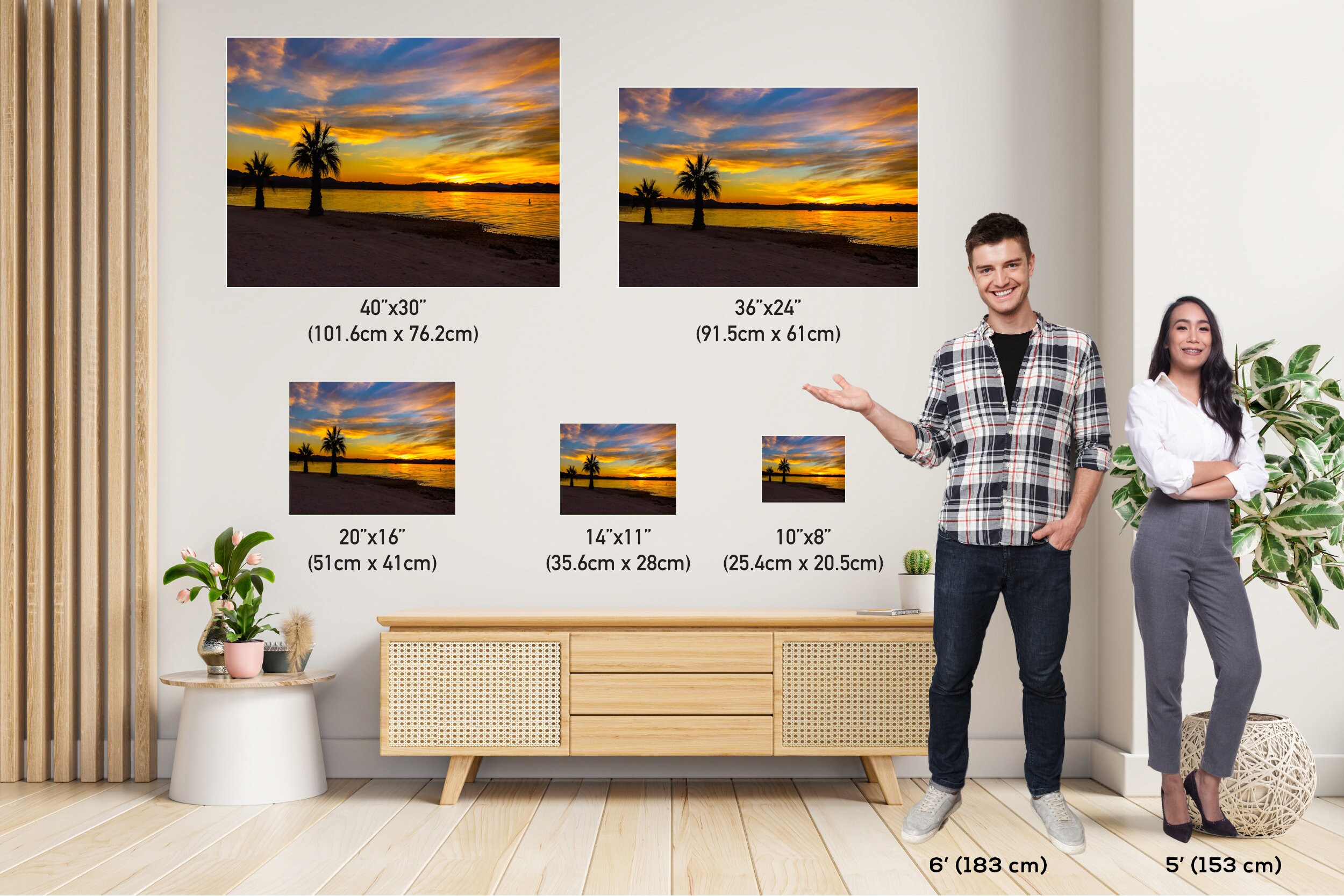 Lake Havasu Sunset: Arizona Palm Trees, Desert Landscape Photography ...