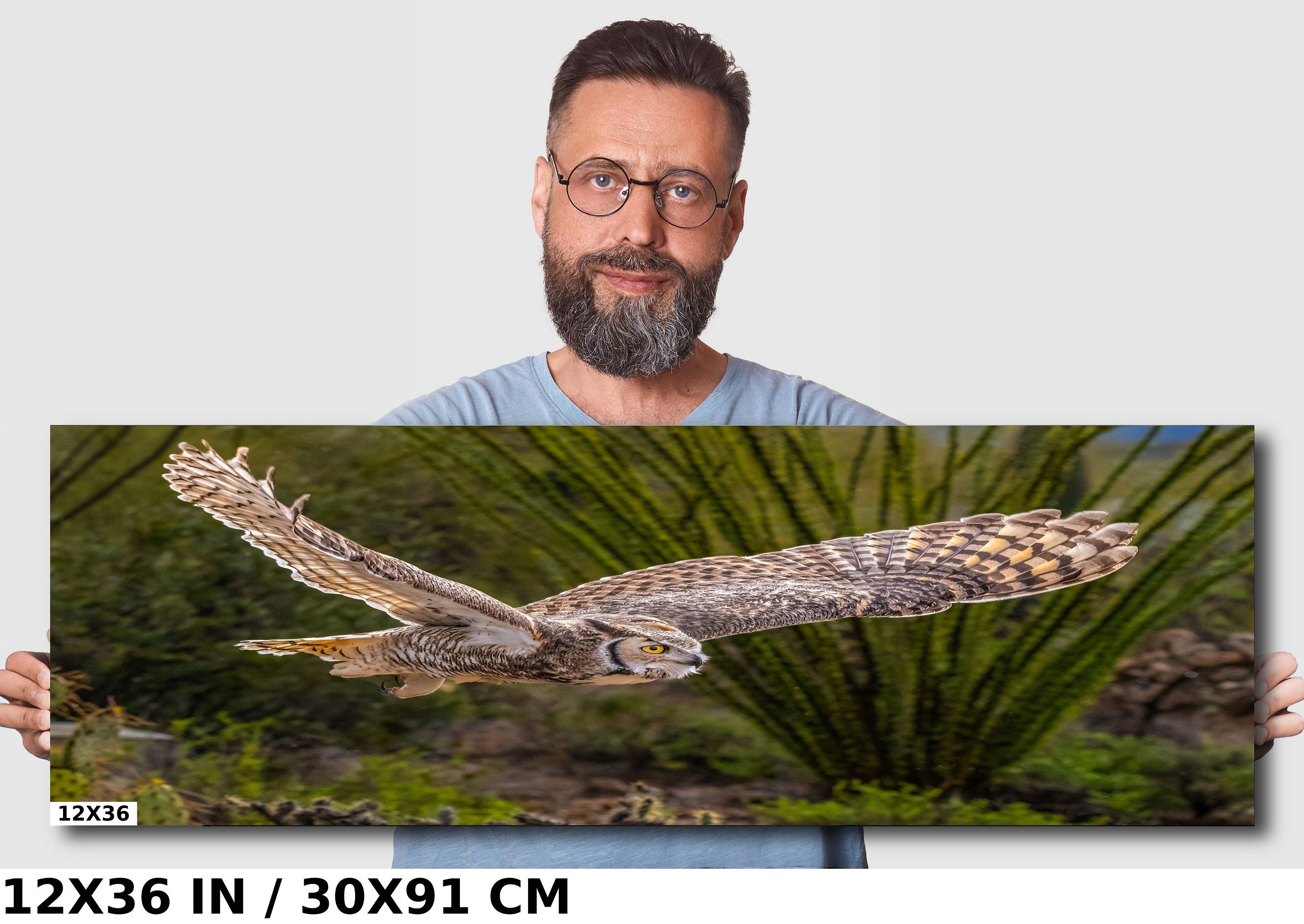 Silent Glide: Great Horned Owl in Graceful Flight Print Wall Art Bird ...