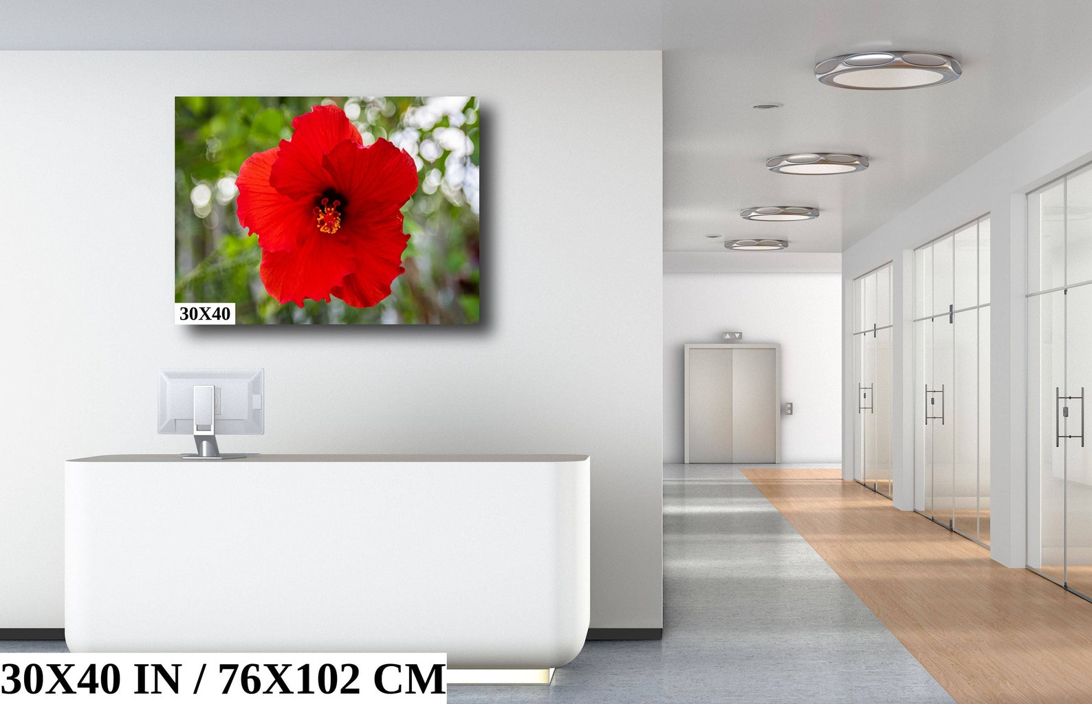 Ruby Blooms: Red Hawaiian Hibiscus Flower Photography Tropical Home ...