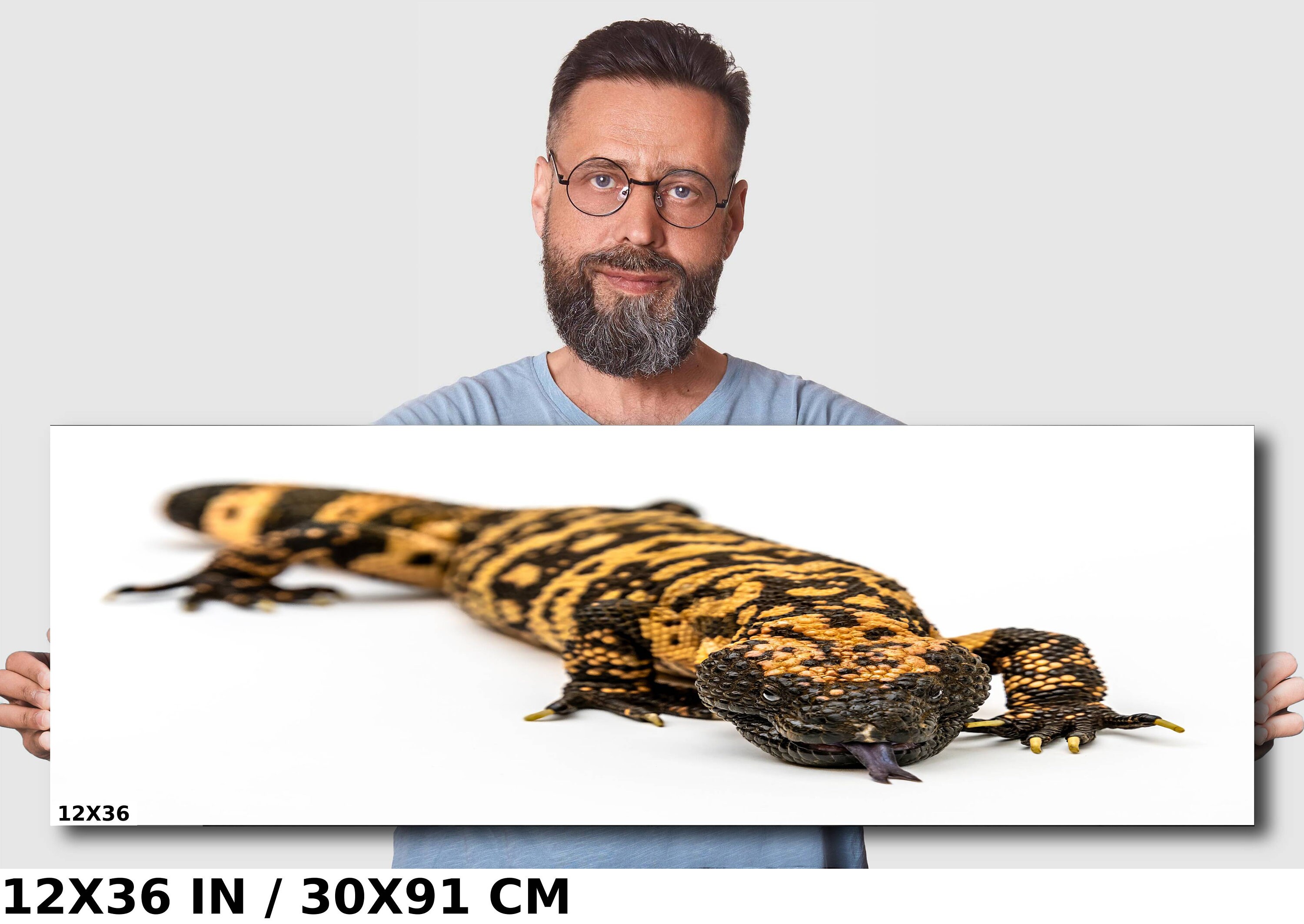 Reptilian Royalty: Gila Monster Wall Art Print Exotic Wildlife Animal ...