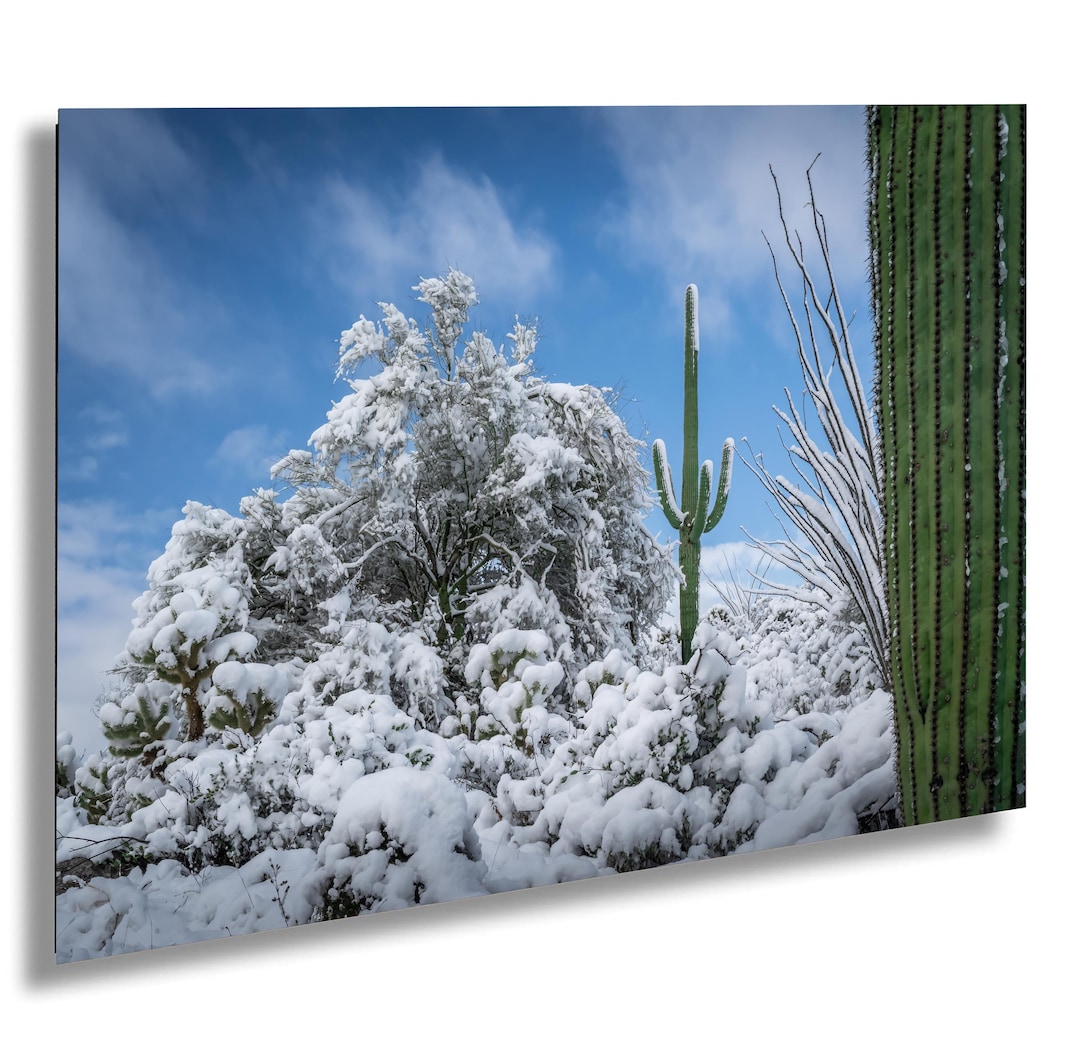 Saguaro National Park Snow Print: Tucson Arizona Desert Photography - Etsy
