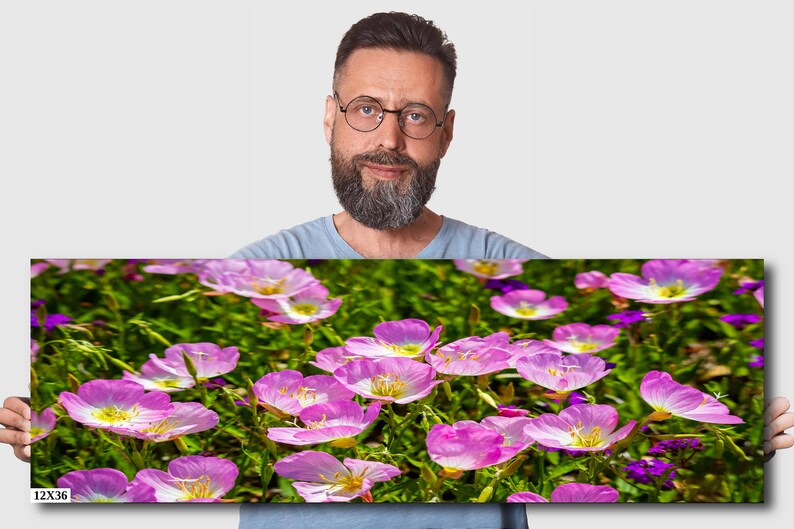 Primrose Field: February Birth Flower Photography Wall Art - Etsy