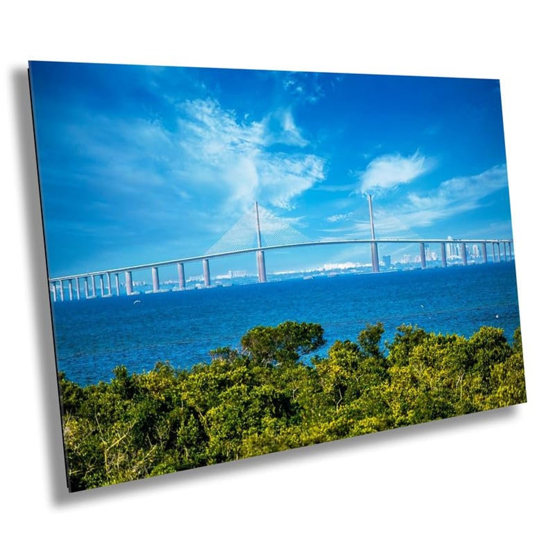 Bridging Horizons: Sunshine Skyway Bridge Florida Architecture ...