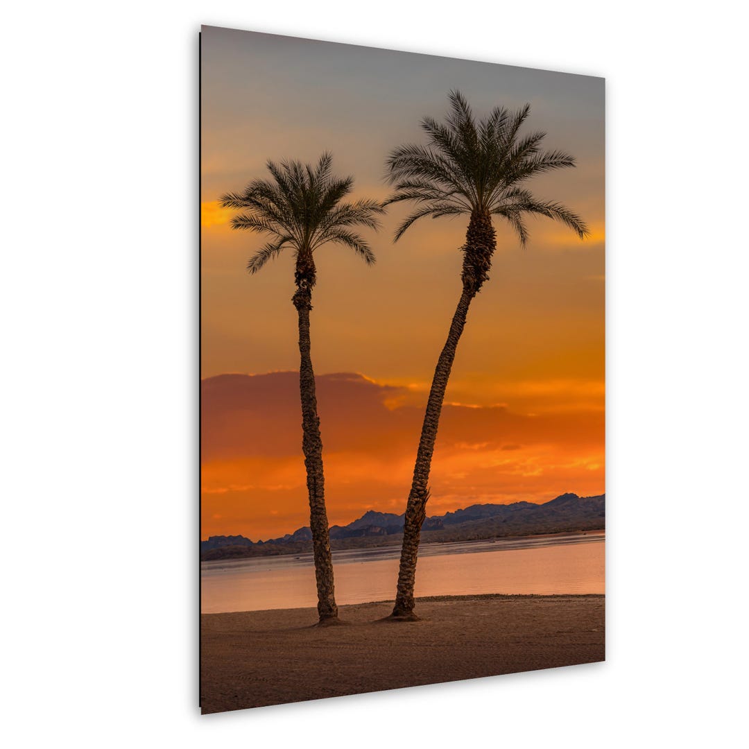 Desert Paradise: Palm Trees in Lake Havasu Wall Art Print Sunset ...