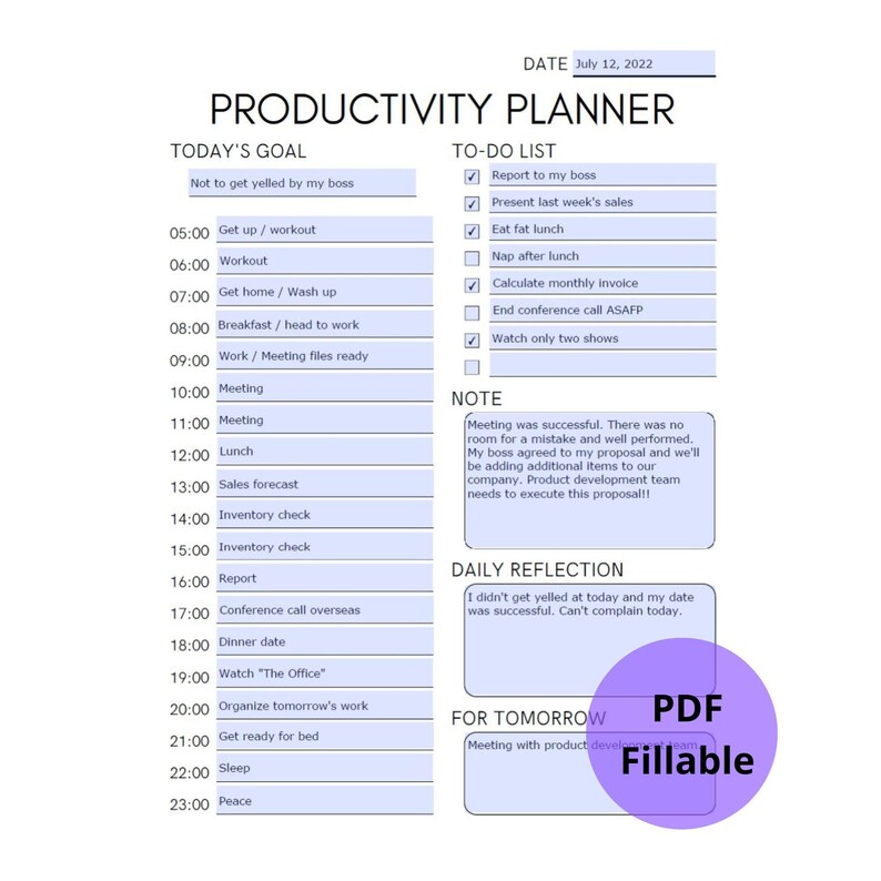 Daily Printable and PDF Fillable Planner, Printable, PDF, Instant ...
