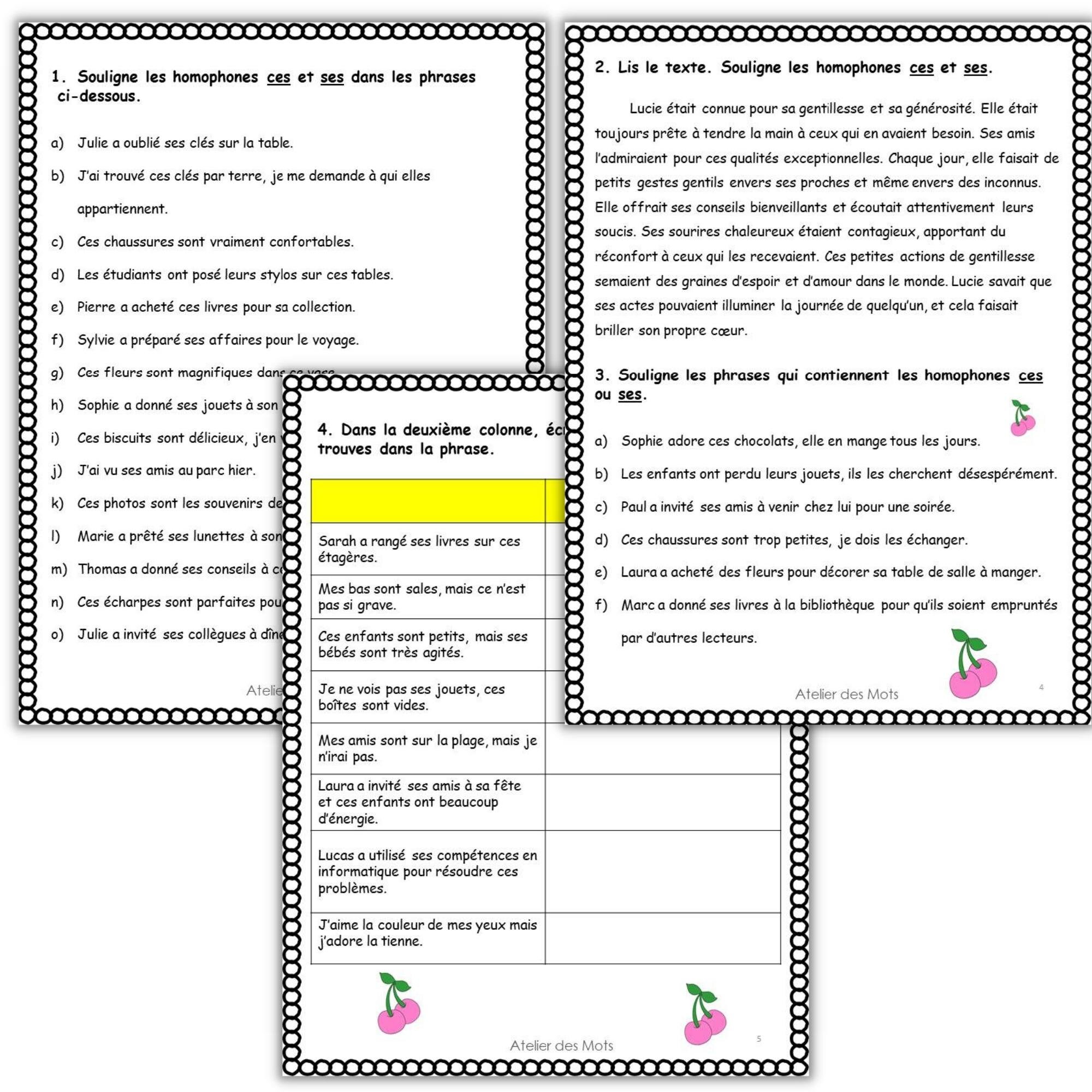 French Homophones Grammar Resource Mastering Homophones - Etsy