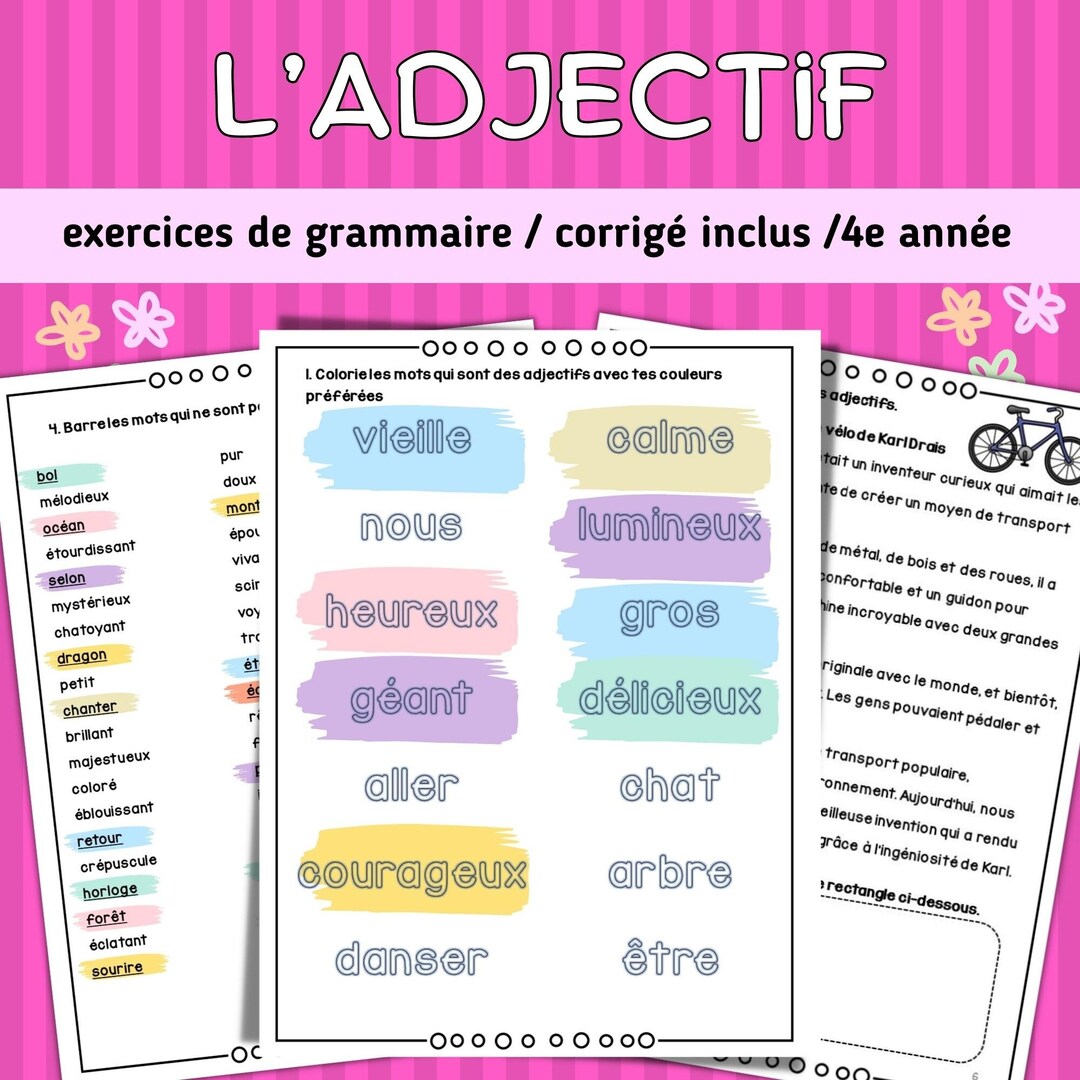 Adjective French Grammar Resource for 4th Grade digital - Etsy