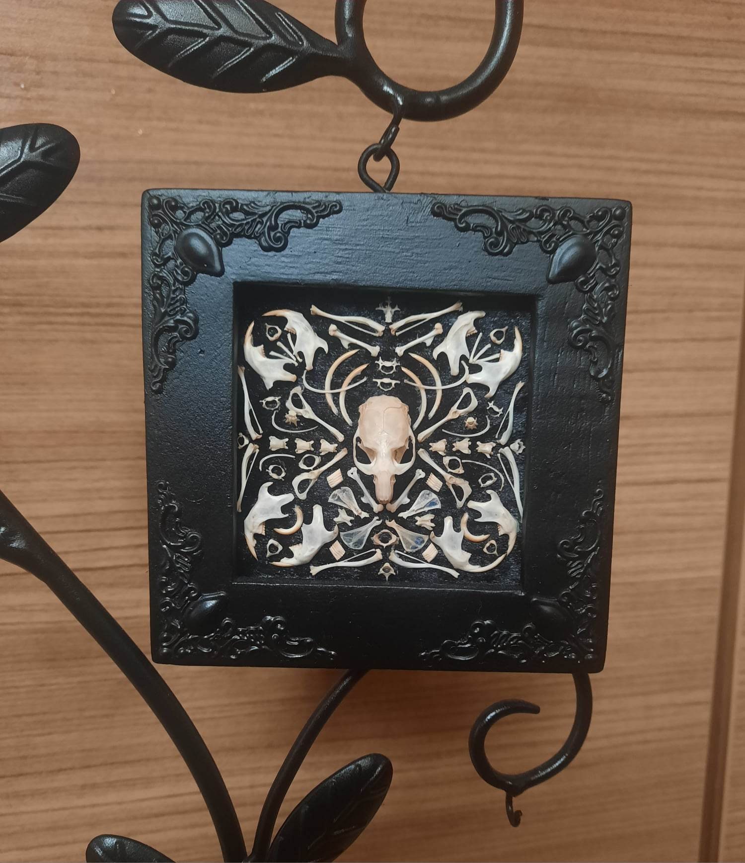 Taxidermy Oddities Multi Frame Display Piece - Etsy