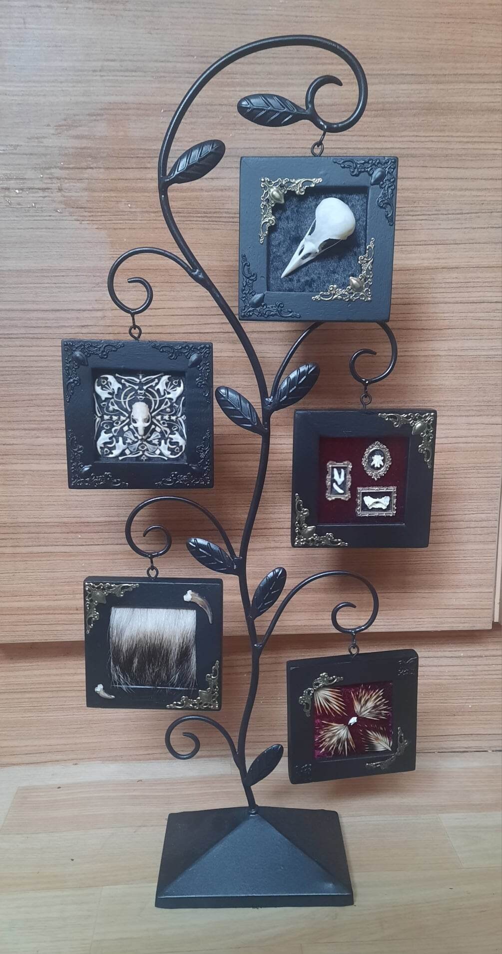 Taxidermy Oddities Multi Frame Display Piece - Etsy