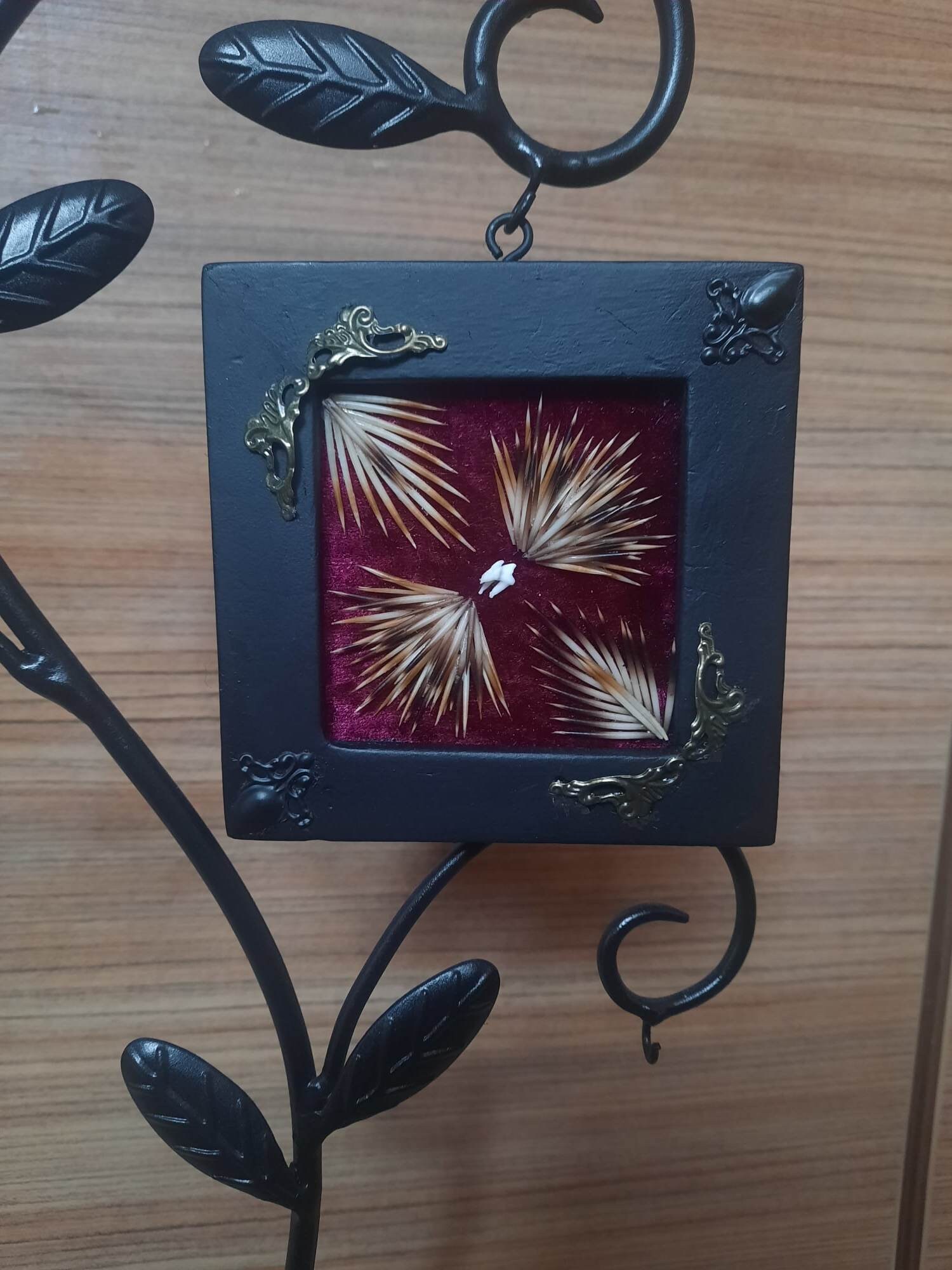 Taxidermy Oddities Multi Frame Display Piece - Etsy