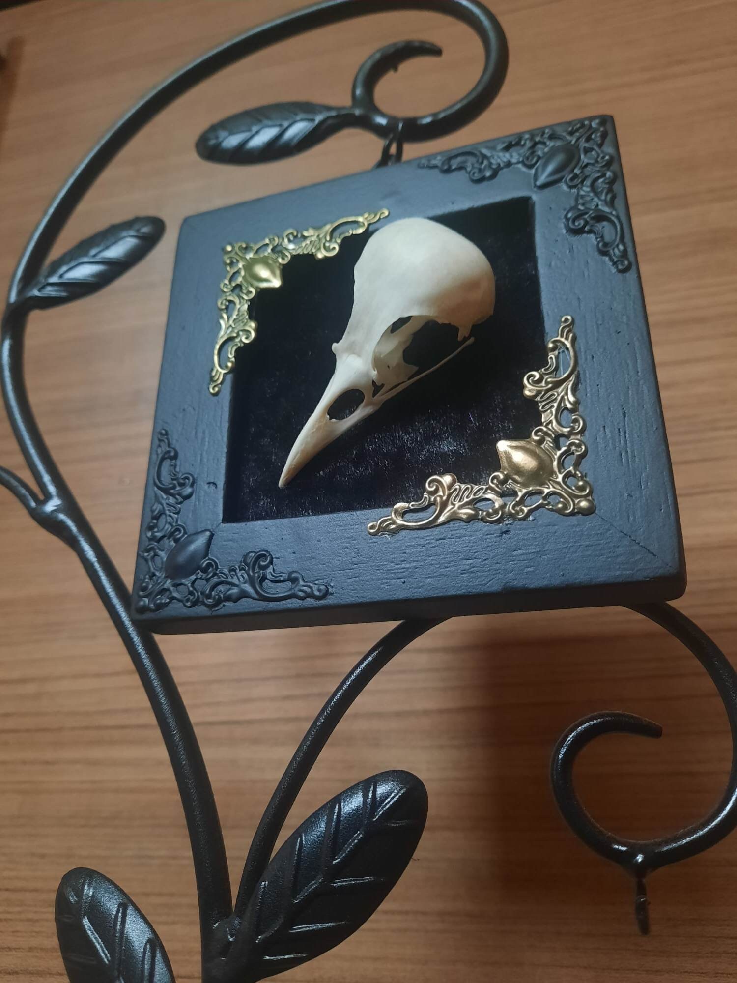 Taxidermy Oddities Multi Frame Display Piece - Etsy