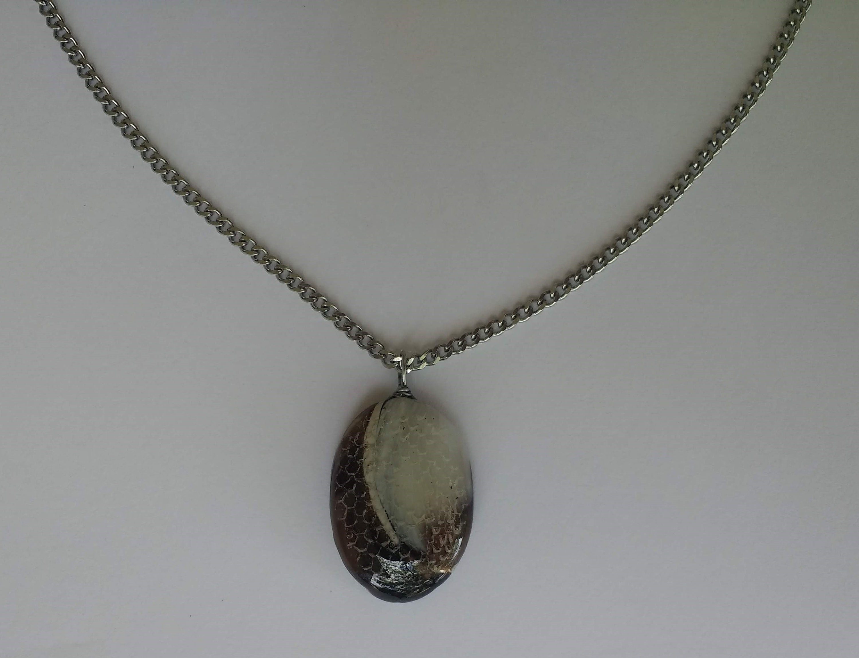 Real Shed Snake Skin in Resin on Shell Pendant, 18 Inch Curb Chain ...