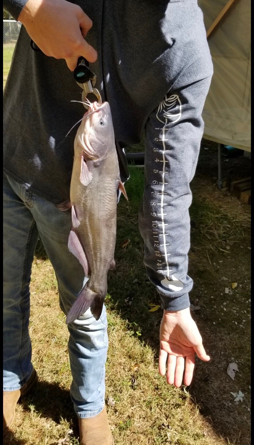 Fish Ruler Shirt - Etsy