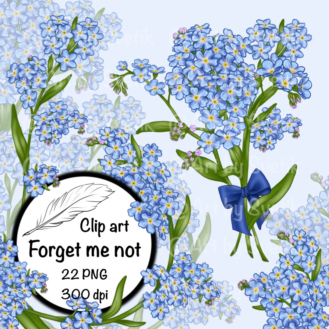 Forget-me-nots Clipart Blue Flowers Png Digital Download Design Art - Etsy