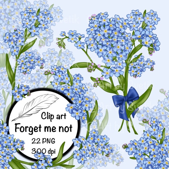 Forget-me-nots Clipart Blue Flowers Png Digital Download - Etsy