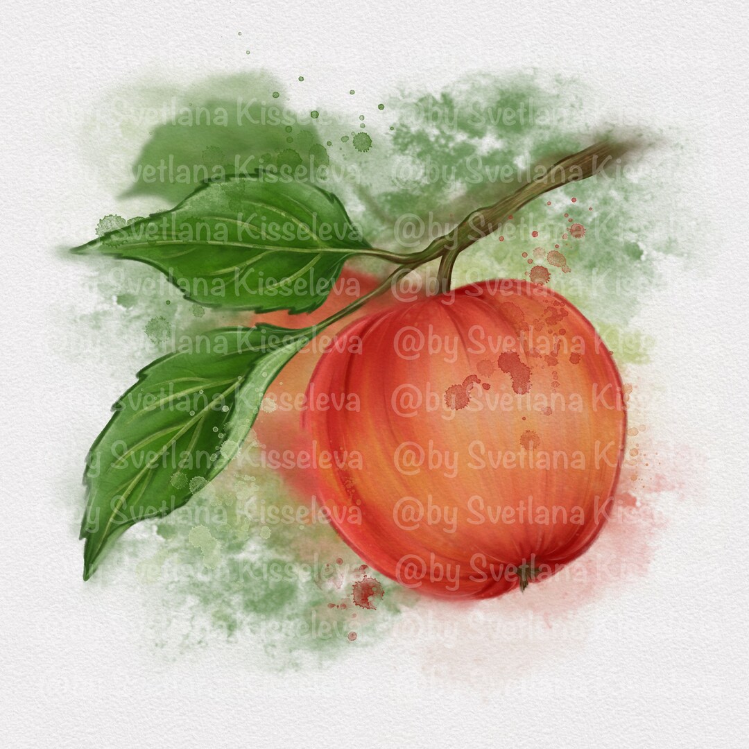 Apples Apple Tree Sublimation Design Png Apple on Branch - Etsy