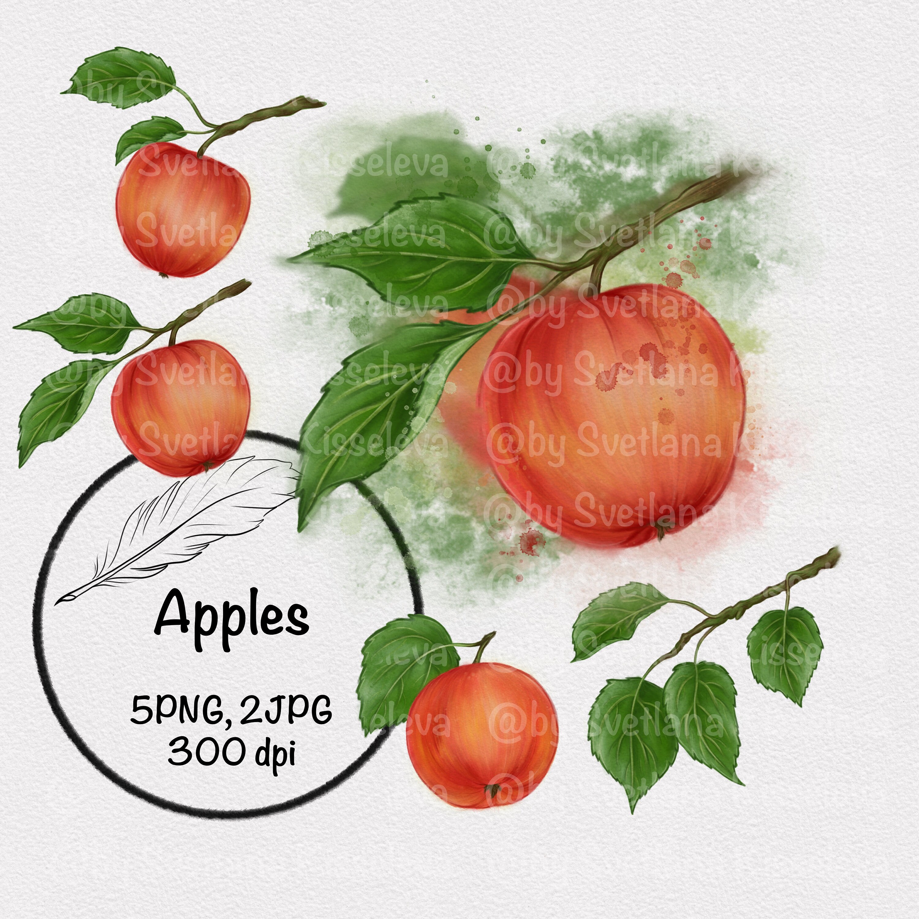 Apples, Apple Tree, Sublimation Design, Png, Apple on Branch, Digital ...