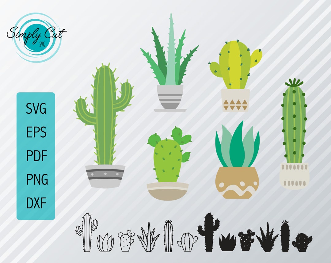 Cactus SVG Bundle Succulent SVG Cactus Silhouette Clipart Cactus Png - Etsy