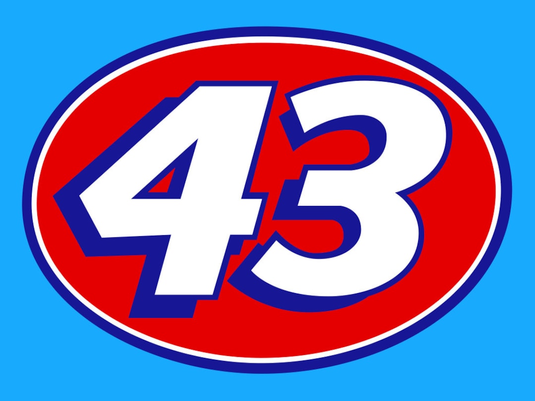 Richard Petty 43 NASCAR Racing Vintage STP Dodge Sticker 90s Petty ...