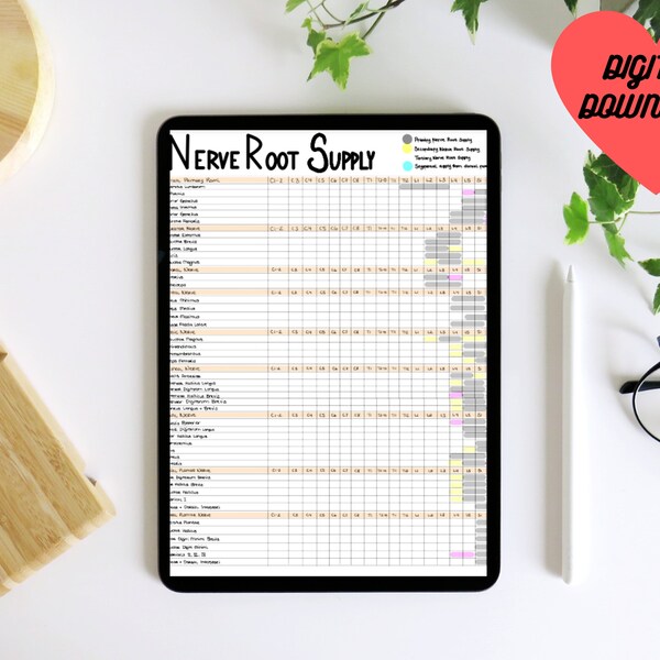 Rn Anatomy Cheat Sheet - Etsy