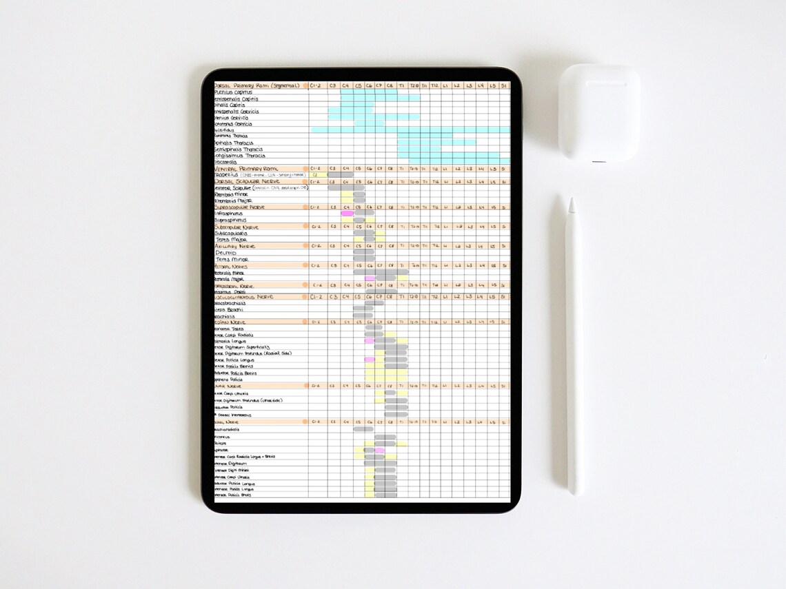 Nerve Root Cheat Sheet and Study Notes Medicine, Physiotherapy, Nursing ...