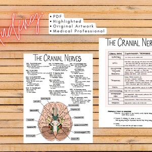 Cranial Nerves Cheat Sheet and Study Notes Medicine, Physiotherapy ...