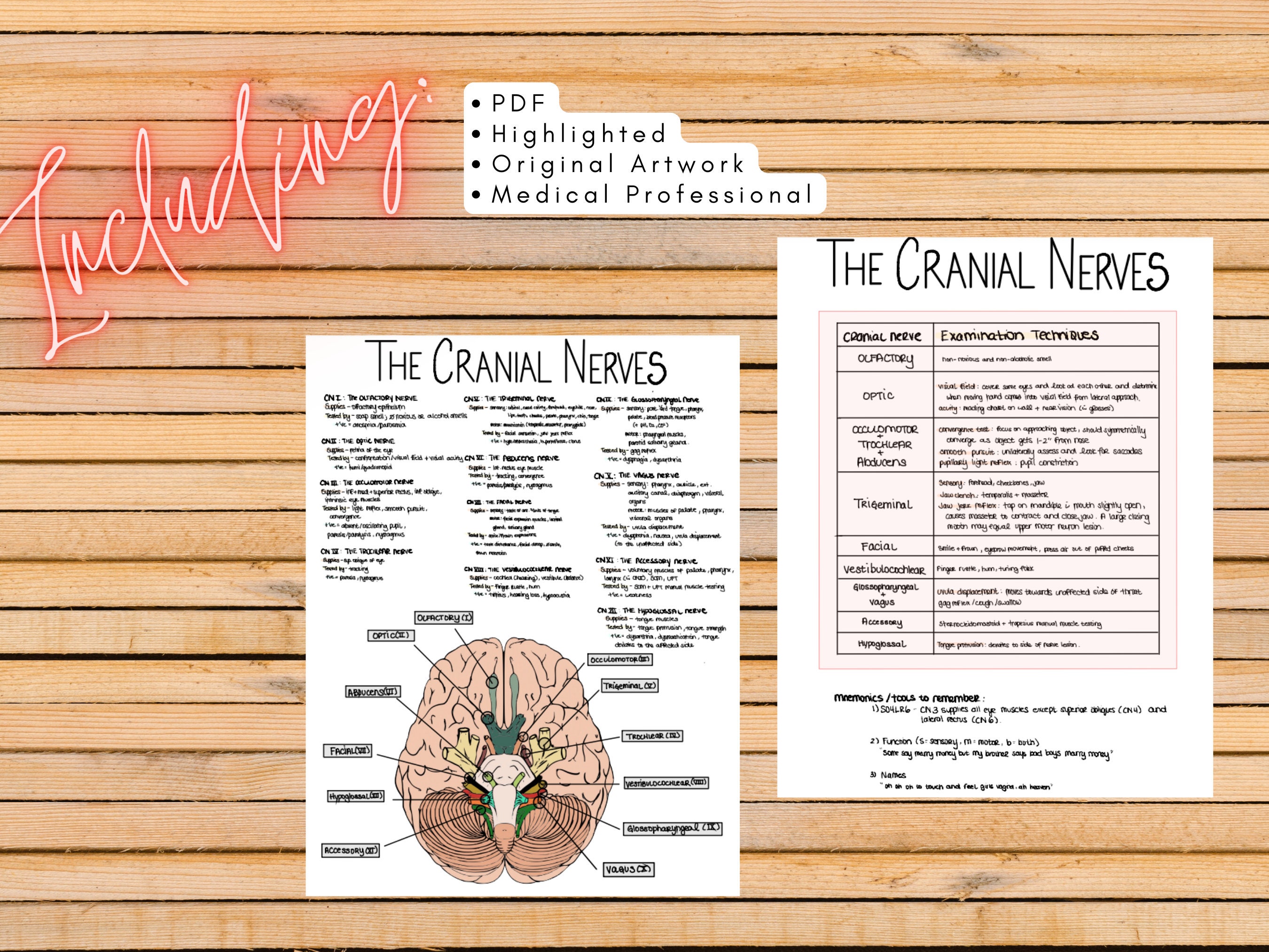 Cranial Nerves Cheat Sheet and Study Notes Medicine, Physiotherapy ...