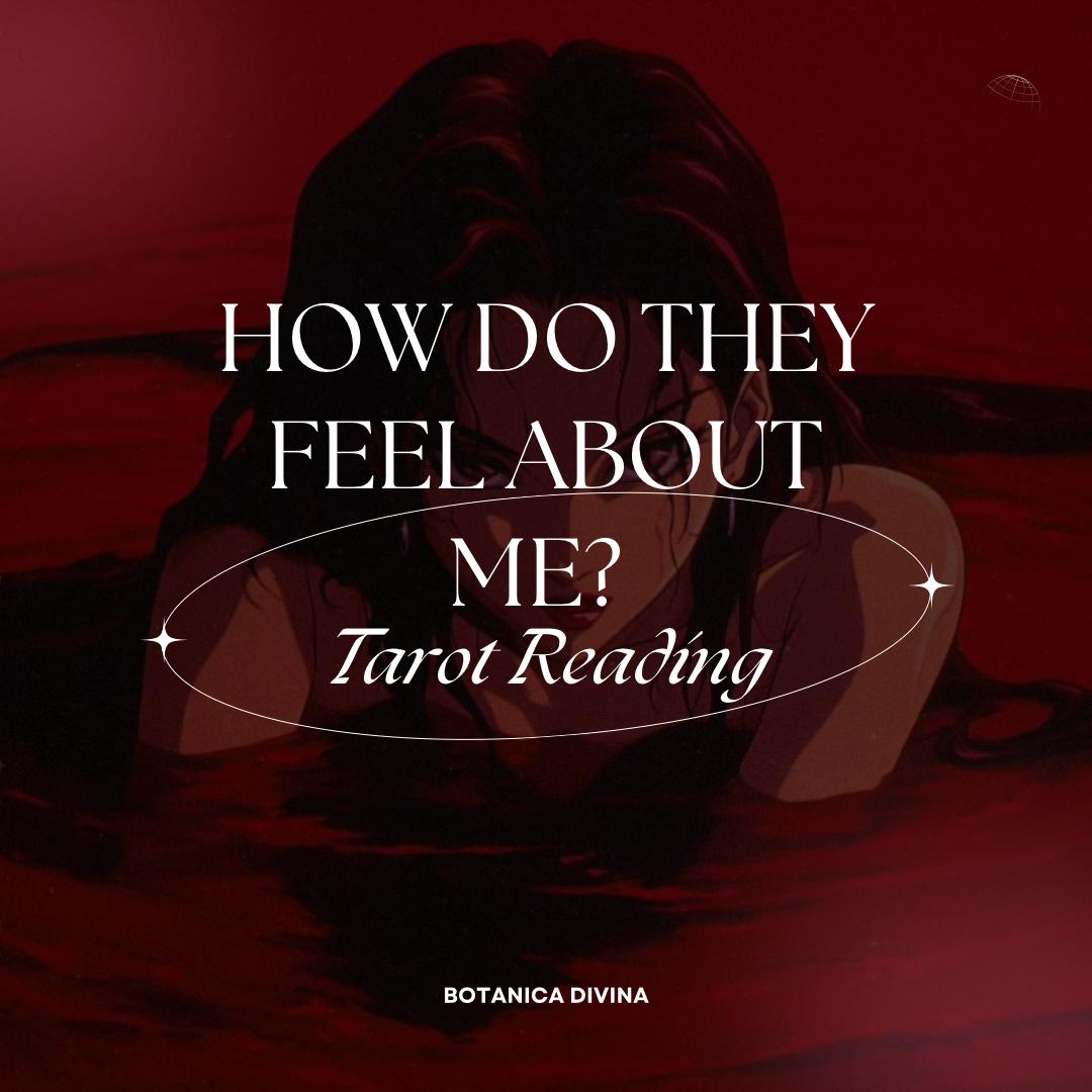How Do They Feel About Me Tarot and Oracle Reading Hidden Feelings - Etsy