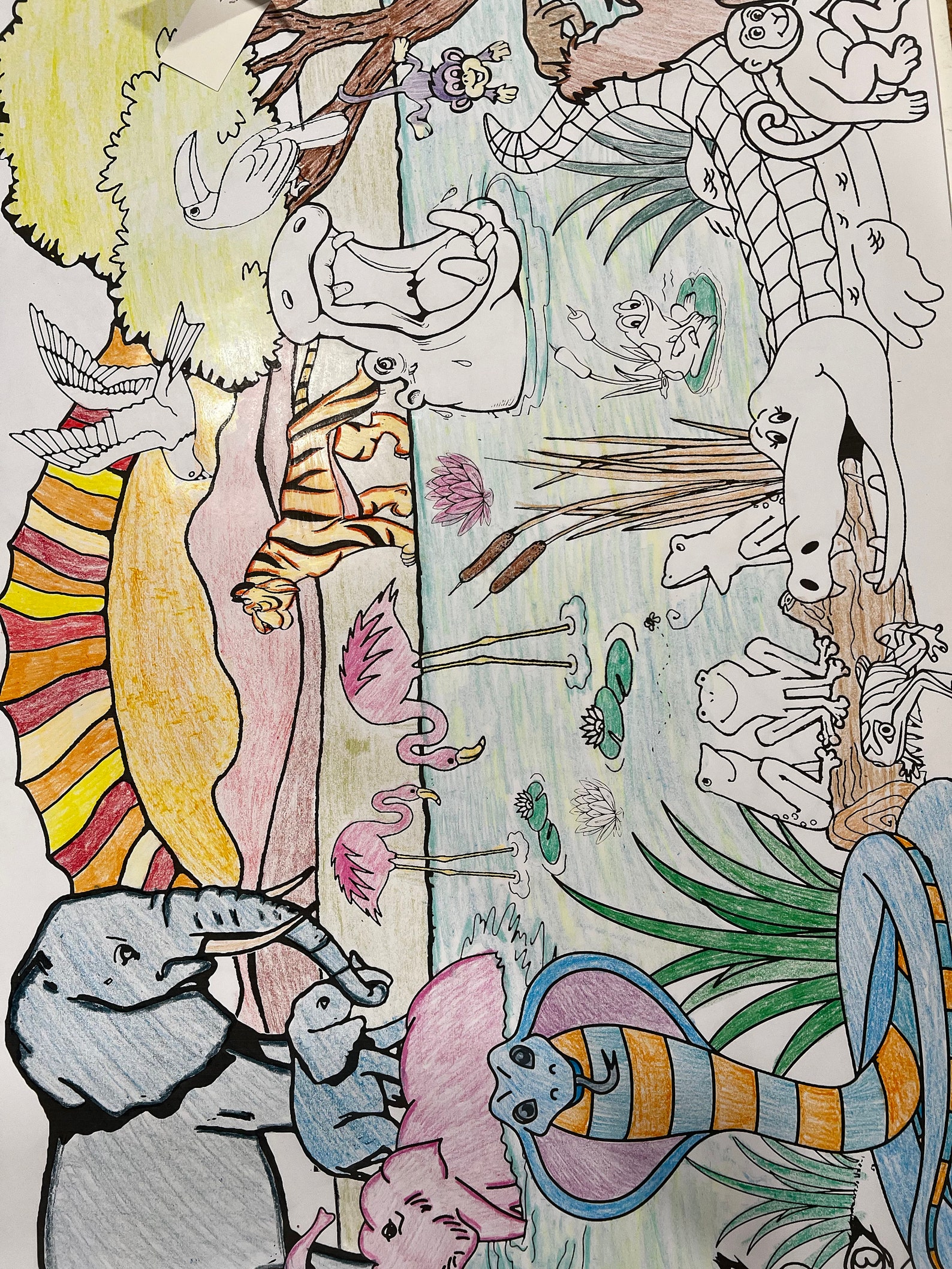 Wild Animals Coloring Activity Banner - Animal Theme Jumbo Activity ...