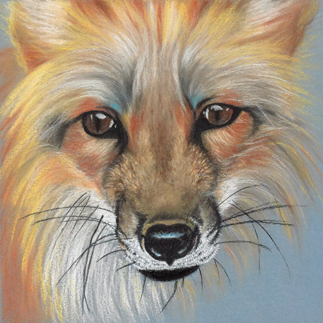 Majestic Red Fox - 8x8 Inch Original Soft Pastel Painting - Etsy
