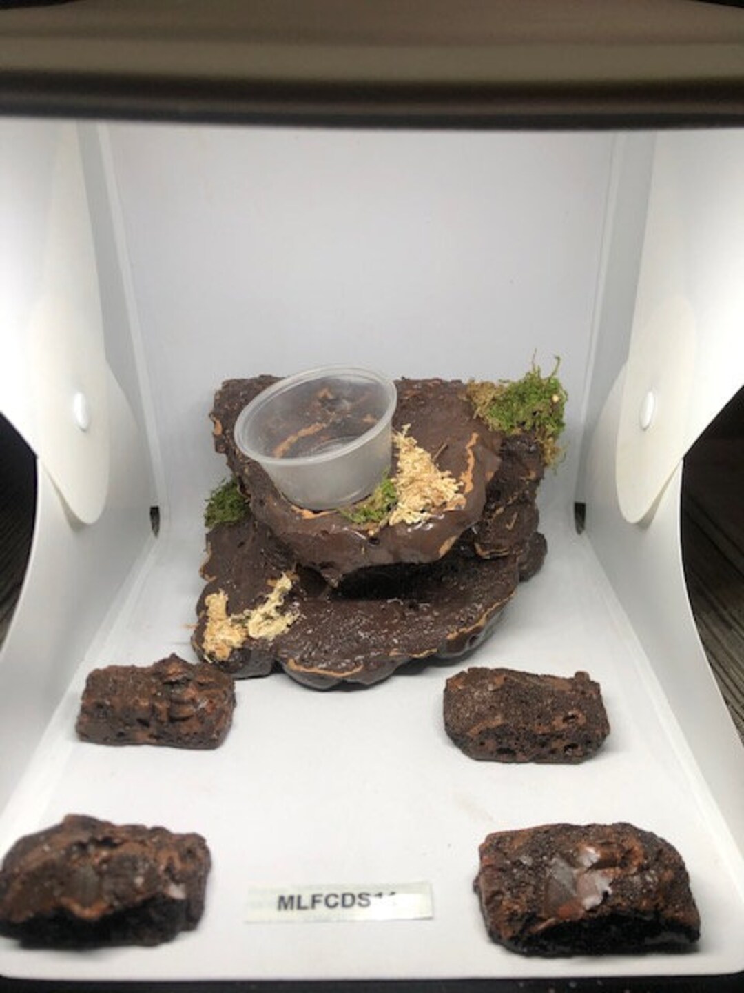 Small Desert Magnetic Rock Ledge With 5 Feeder Cups for Reptiles and ...